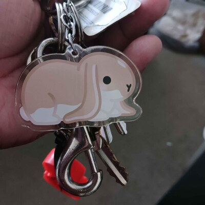 Freshwater Aquarium Shrimp Keychain Cartoon Exotic Crustacean Pet Art ...