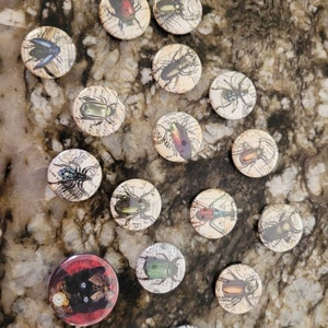 Stained Glass Church Windows Coaster Set Tableware Barware - Etsy