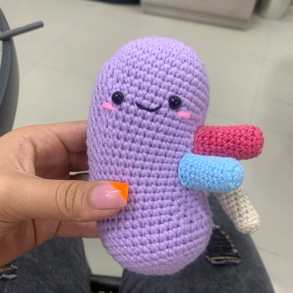 Anatomical Kidney Crochet Pattern! PATTERN ONLY Instant DOWNLOAD ...