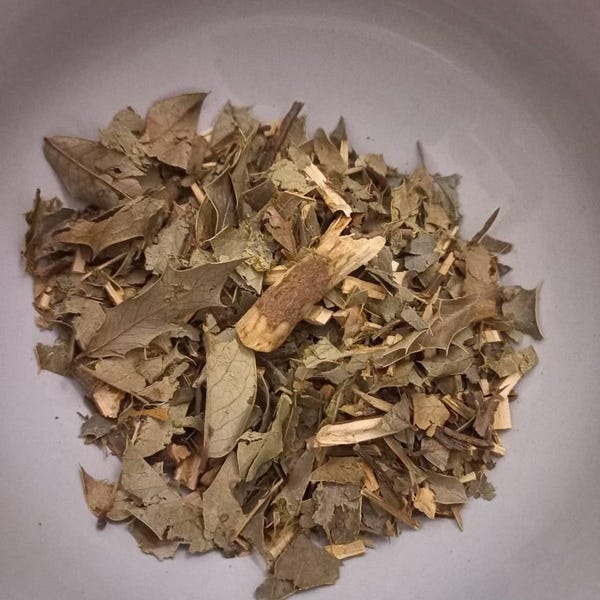 Congorosa Herbal Tea - Maytenus Ilicifolia - Espinheira Santa ...