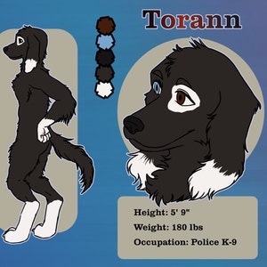 Simple Front-back Fursona Reference Sheet Commission Furry Ref Sheet ...