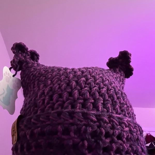 Chowder Inspired Crochet Cat Beanie - Whimsical Winter Hat - Etsy