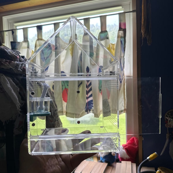 Luna Moth Spider Hide - Etsy