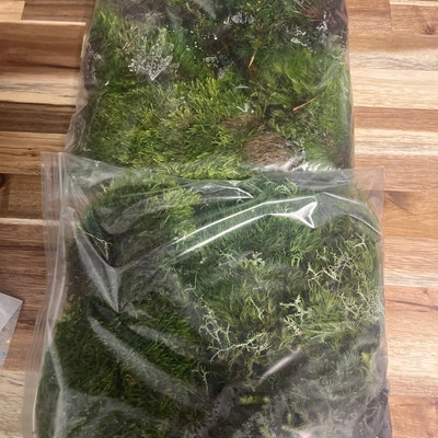 Real Dried Mix Moss Craft Making Moss for Crafts Fairy Garden Moss Assorted Moss Natural ...