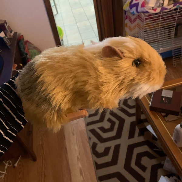 Custom Guinea Pig Stuffed Animal Pet Replica - Etsy
