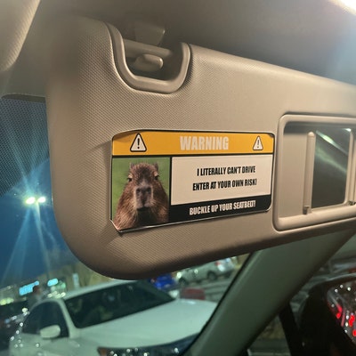 Capybara Warning Sticker Bumper Sticker Memes Car Accessories Cardecor Funny Stickers - Etsy