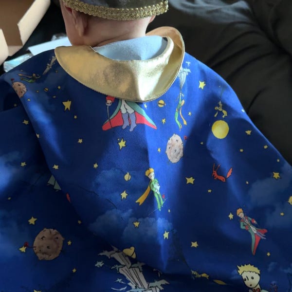 Little Prince's Costume - Green Rompers - for Adult ,the Little Prince ...