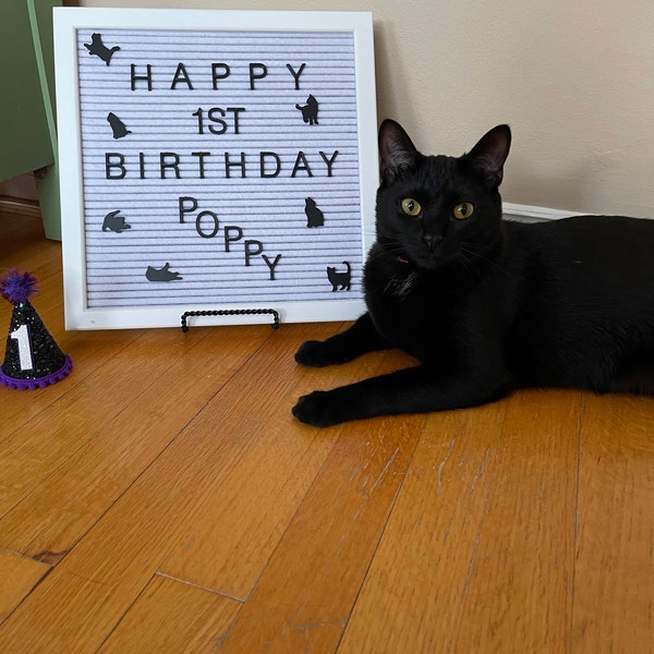 Cat Letter Board Icons / Kitten Felt Board Accessory / Animal ...