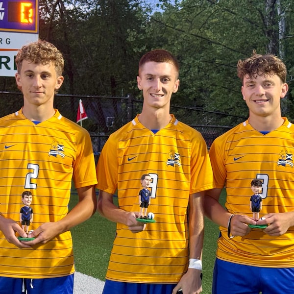 Custom Engineer Bobbleheads,custom Worker Bobbleheads,personalized ...