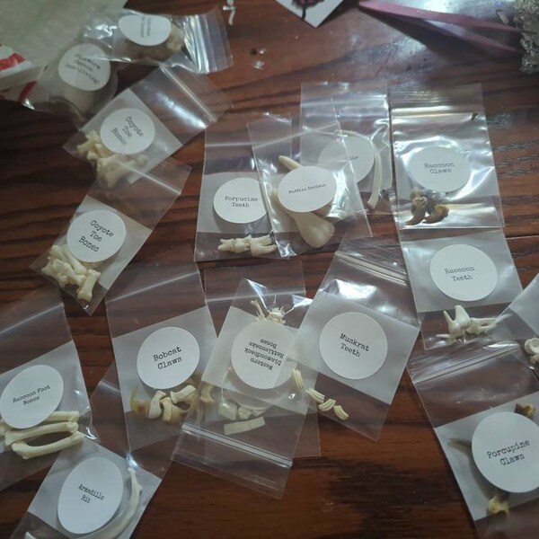 Bone Casting & Collecting Mystery Box Osteomancy Bone Divination Bones ...