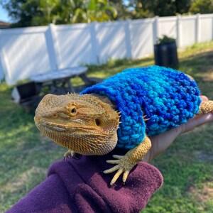 Custom Tortoise Diaper | Etsy