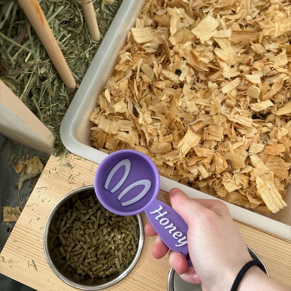 Personalized Dog Food Scoop, Pet Food Measuring Cup With Name, Kibble ...