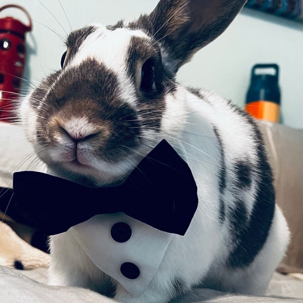 Tuxedo for Rabbits, Cats, Small Dogs, Bunny & Small Pets. Suit. Wedding ...