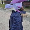 Tatsu | Dragon Head Mask - DIY Halloween Costume Papercraft (PDF ...