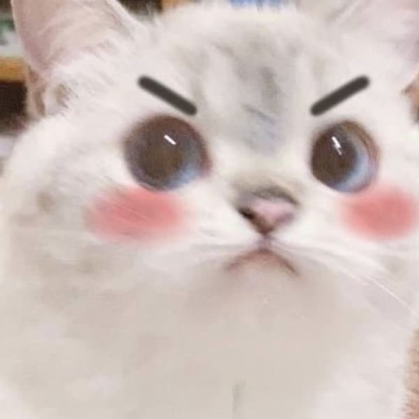 Zenless Zone Zero Alice Emotes Hoyo Emoji Streamer Twitch Zzz - Etsy