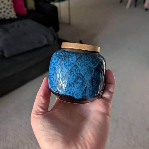 Custom Mini Ceramic Urn, Unique Dog Ashes for Memory Pot, Small Urn for ...