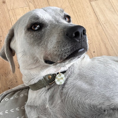 Olive Green Resin Pet ID Tag Resin, Olive Green, Dog Tag - Etsy