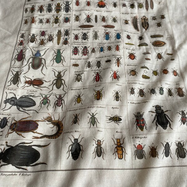 Insects Unisex T-shirt - Insect Tshirt, Bug Tshirt, Entomology Tshirt ...