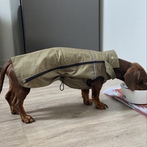 Light Jacket for Dog Raincoat for Dog Clothing for Dog Dog Wear Pet ...