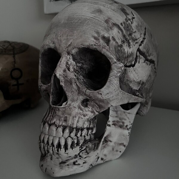 Voodoo Shrunken Head Prop Life Size 3D Printed Halloween Prop PRIMED ...