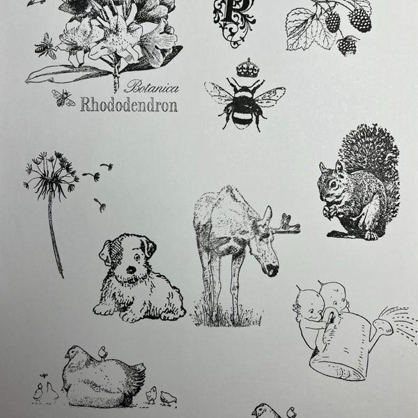 Indian Rosewood Large Carved Stamps - Pick a Style! - Etsy