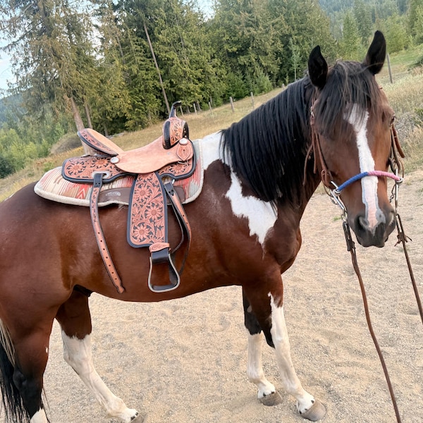 Western Barrel Racing Horse Saddle With Matching Tack Set (head Stall ...
