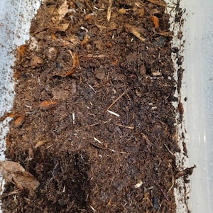 Vented Enclosure 16 Quart Reptile Isopod Terrarium Vivarium Container ...