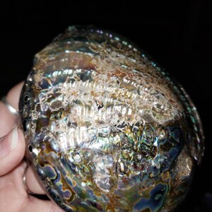 Fish Eye Jasper Tower - Etsy