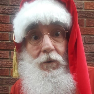 Father Christmas woodland Santa by Susan Comish 18x22 Santa Claus Saint ...