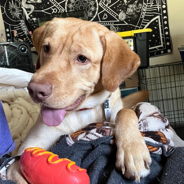 Personalized LED Light up Name Keychain USA Made Color Changing ...