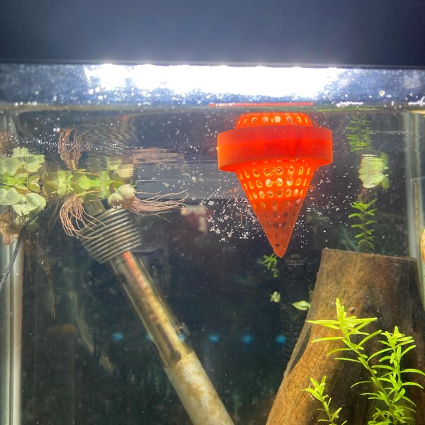 Large Insect Breeding Water Dish, Reptile Feeding Dish, Pet Food Bowl ...