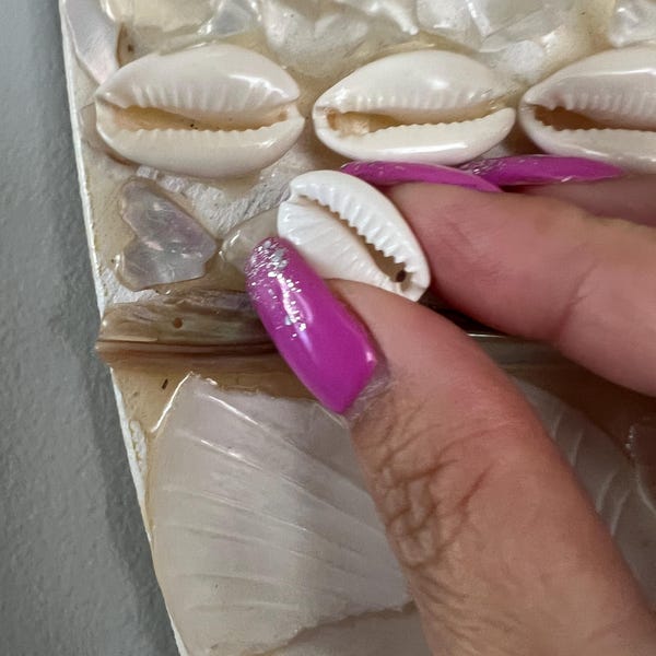 46 Beige Drilled Cowrie Shells Large: Natural Seashell Shells for ...
