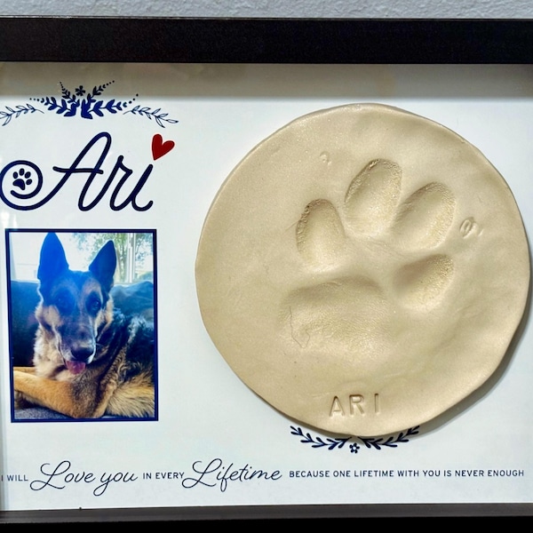 Pet Memorial Paw Print Holder Shadow Box, Two Paw Prints, Pet Loss ...