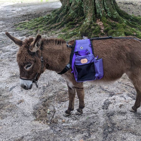 Miniature Horse and Donkey Backpacks - Custom Patches and Accessories ...