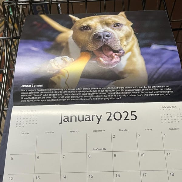 2025 Rescue Pit Bull Wall Calendar Featuring Rescued Pit Bulls Great ...