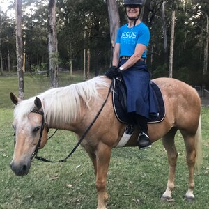 Lace Modesty Panel, Neckline Insert, Mock Camisole - Etsy