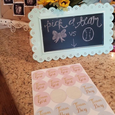 Gender Reveal Party Stickers, Team Pink Team Blue Stickers, Pink and ...