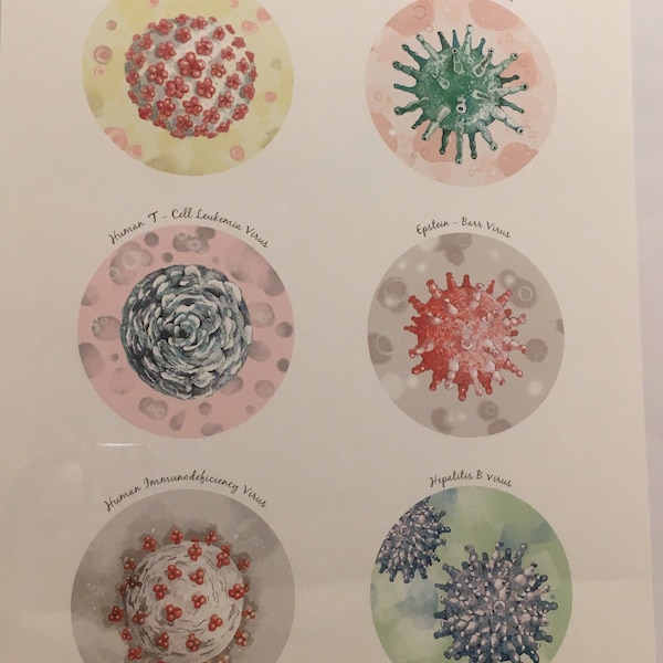 Cancer Causing Viruses Collection, Poster, Microbiology Science Art ...
