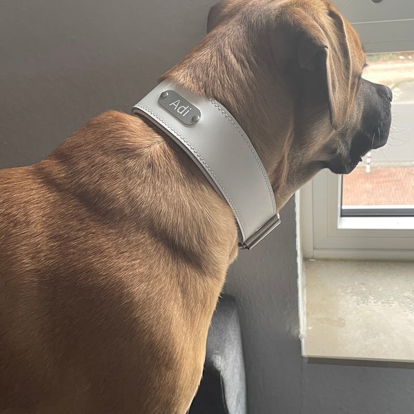 White Leather Dog Collar Padded With Soft Leather, White Loop and ...