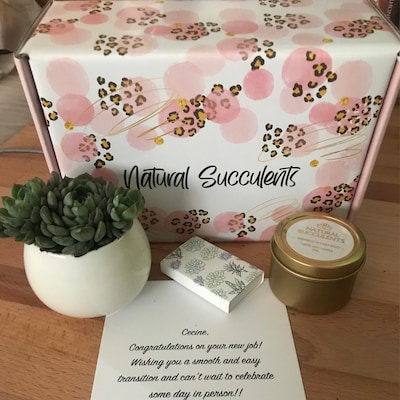 Job Promotion Gift, Job Promotion, New Job Gift, Job Promotion Care ...