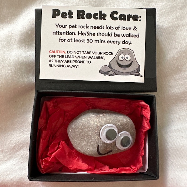 Small Pet Rock With Carry Case & Care Guide - Fun Novelty Gift for ...