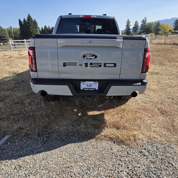 Ford Mustang GT Side Windshield Decal - Etsy