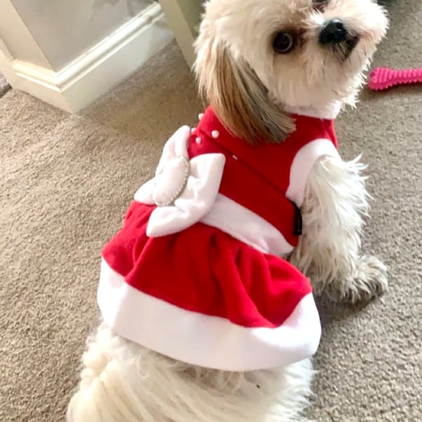 Pet Costume for Christmas, Plush Christmas Dog,dog Costume, Pet ...