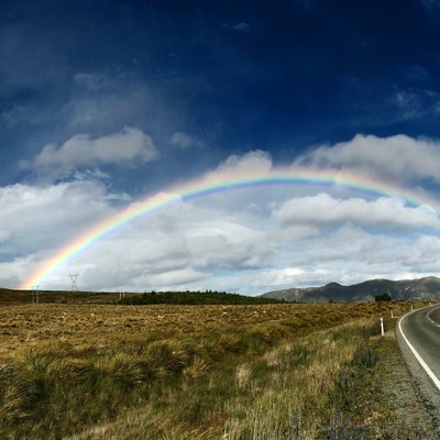 KPM Bright Sea Creatures Digital Clip Art - Etsy