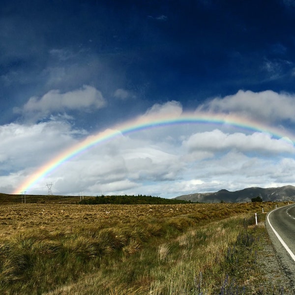 KPM Bear and Friends Digital Clip Art - Etsy