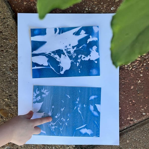 DIY Solar Printing Kit , Craft Kit , Cyanotype , Kit , Solar Printing ...