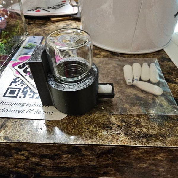 Spider Water Jug, Spider Waterer - Etsy