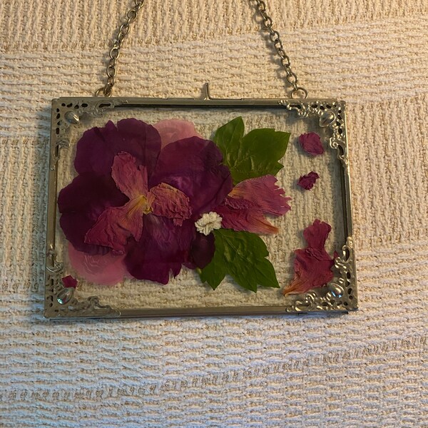 Real Pressed Peony in a 10" X 10" Black Frame Matted to 7.5" X 7.5 ...