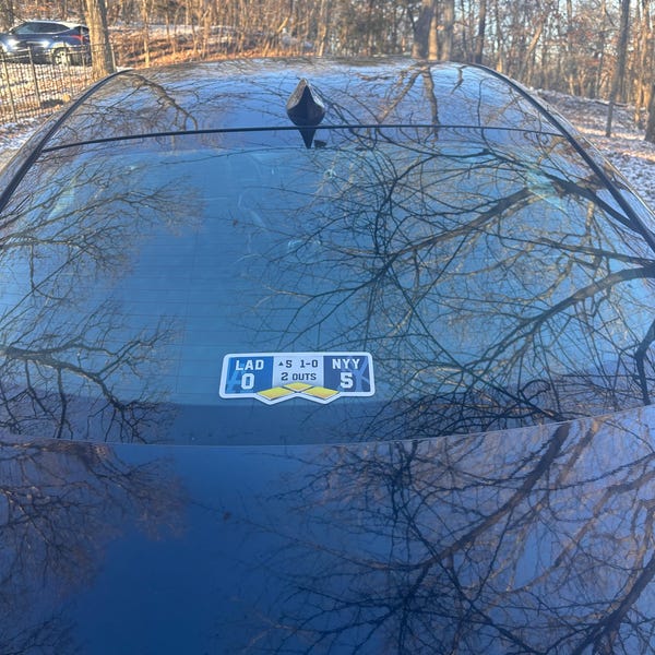 Baseball Fan Kiss-cut Sticker, Fun Baseball Sticker, Sports Fan ...