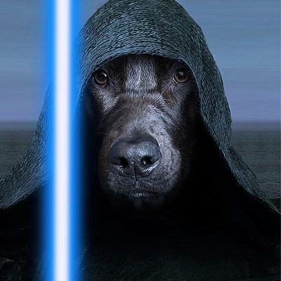 Custom Star Wars Pet Portrait, Luke Skywalker Dog Portrait, Star Wars ...